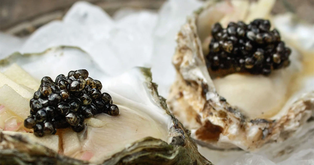 Oyster Recipe with Beluga Caviar: A Luxurious Feast