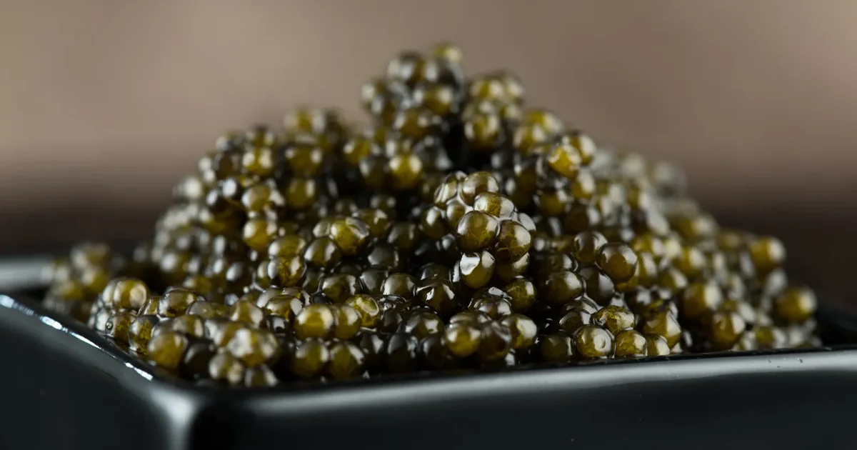 Royal Ossetra Caviar: Exceptional Quality & High Standards