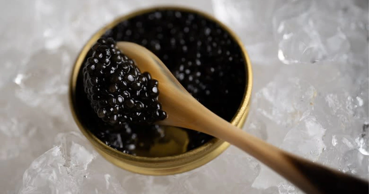 Sevruga Caviar Storage Temperature Guide